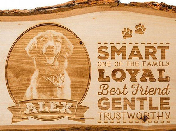 Best Wood and Metal Laser Engravers